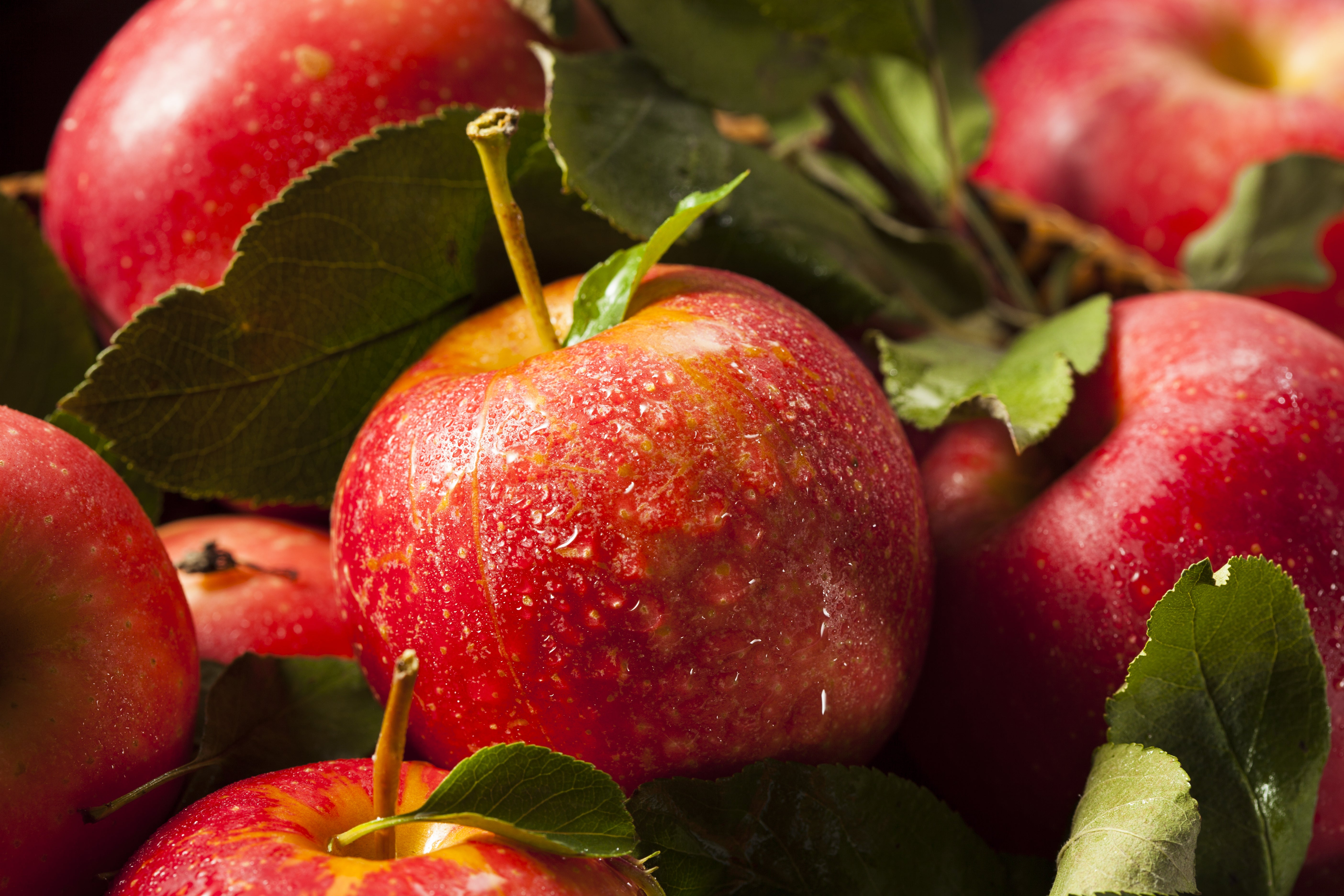 Fruits – tagged "fruits" – Freshcore